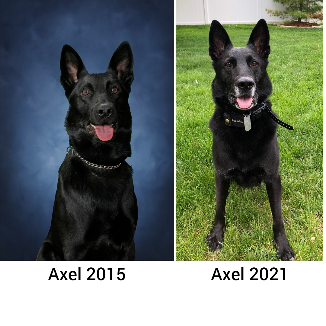 ISP Welcomes New Detective And Retires K9 - Region News Source