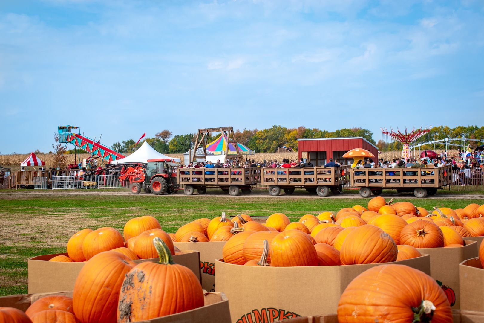 HARVEST TYME FAMILY FARM PAY TRIBUTE TO REBA MCENTIRE WITH CORN MAZE ...