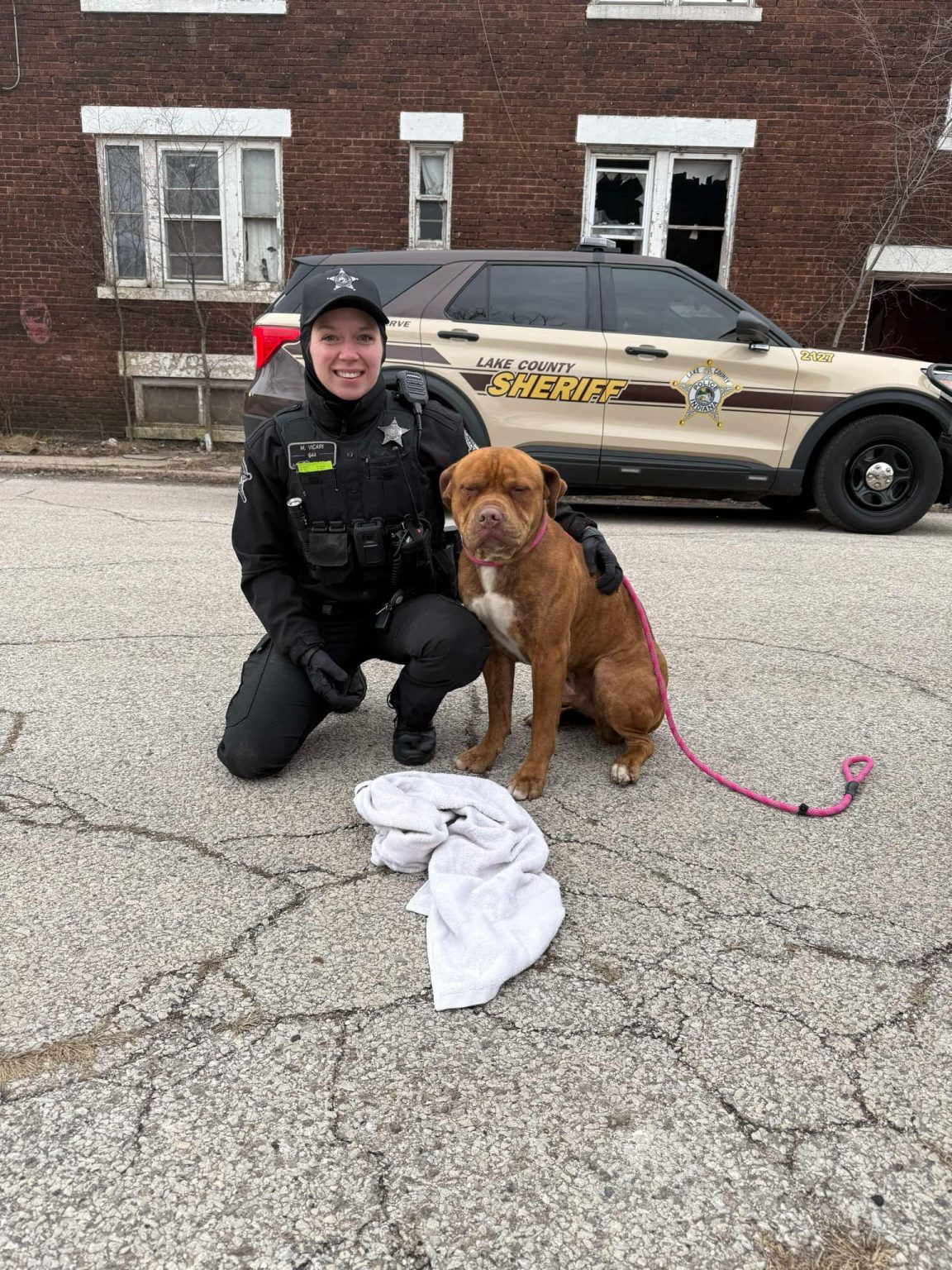 Heroic Sheriff Officer & Tree Company Rescues Dog From Rooftop - Region ...