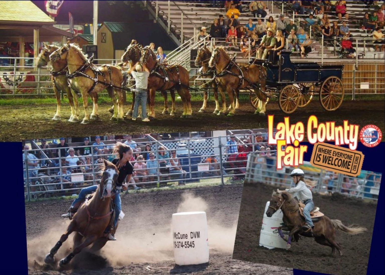 Lake County Fair Gears Up All-Breed Classic - Region News Source